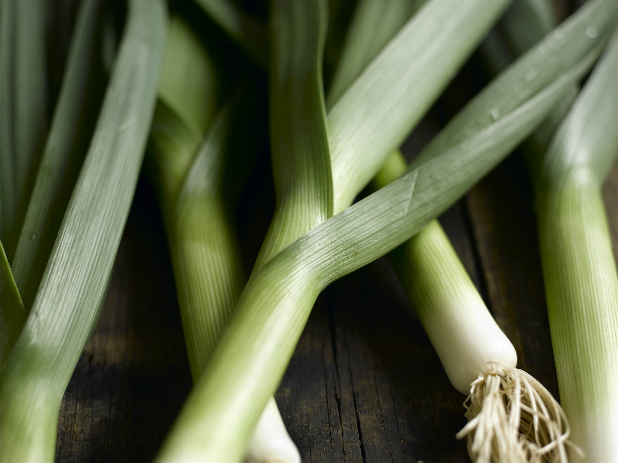 Downloads and press resources – British Leeks
